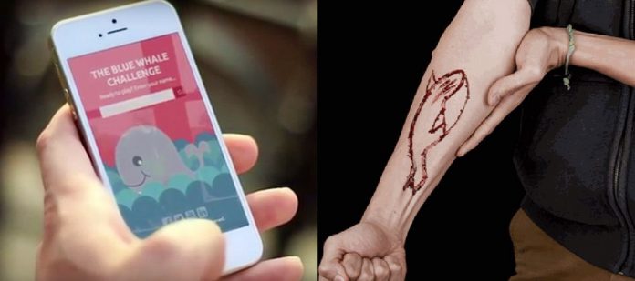 Trovata in stato confusionale con tagli sulle braccia: partecipava alla ...